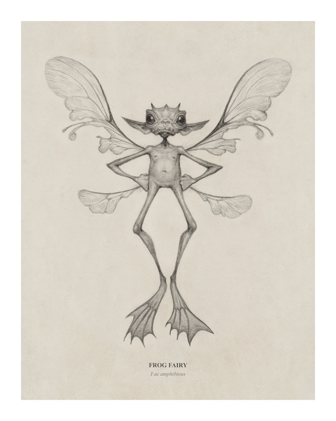Frog Fairy Magical Creature Illustrated Art Print - Etsy