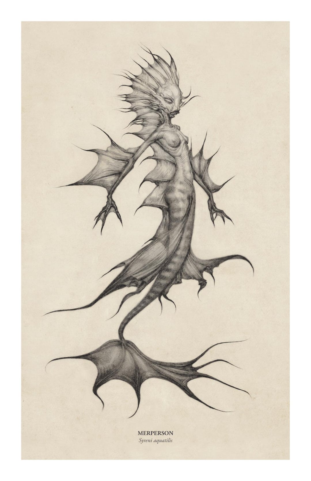 Merperson Magical Creature Illustrated Art Print - Etsy