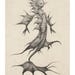 Merperson Magical Creature Illustrated Art Print - Etsy UK