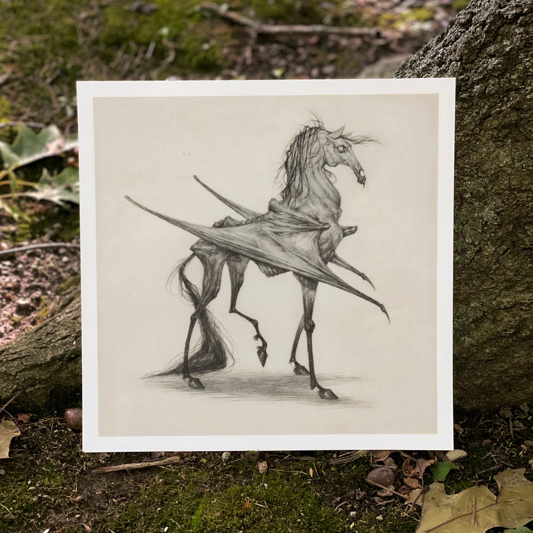 Winged Horse Death Omen Magical Creature Illustrated Art Print - Etsy