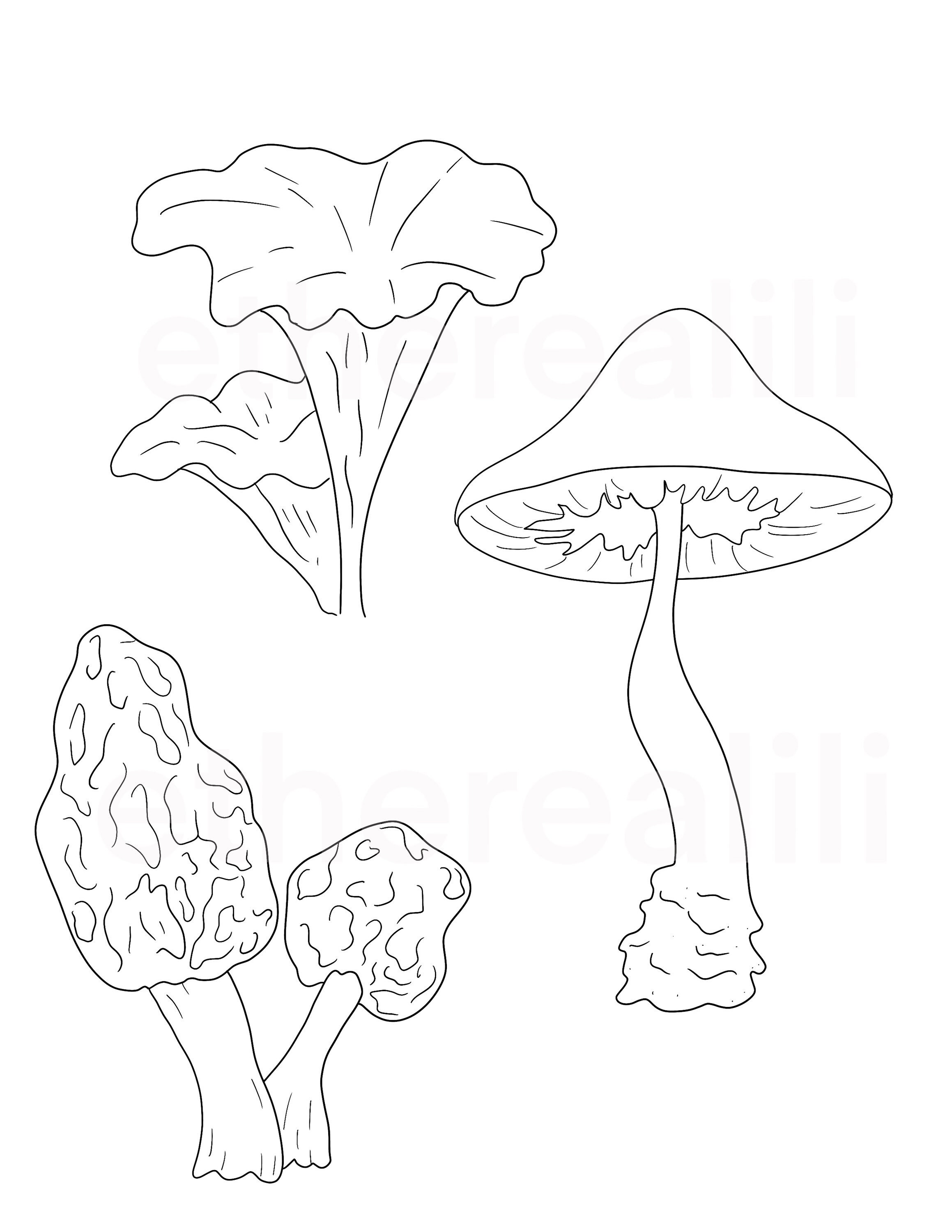 Coloring Pages- Mushroom Printables- Instant Downloand Coloring Page - Etsy