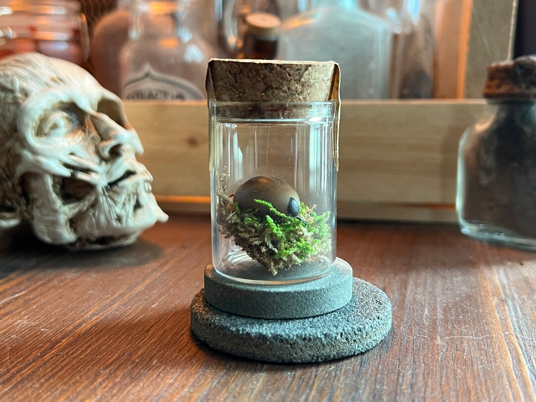 Tick Lapel Pin, Creepy Bug Accessory, Parasite Gag Gift, April Fools ...