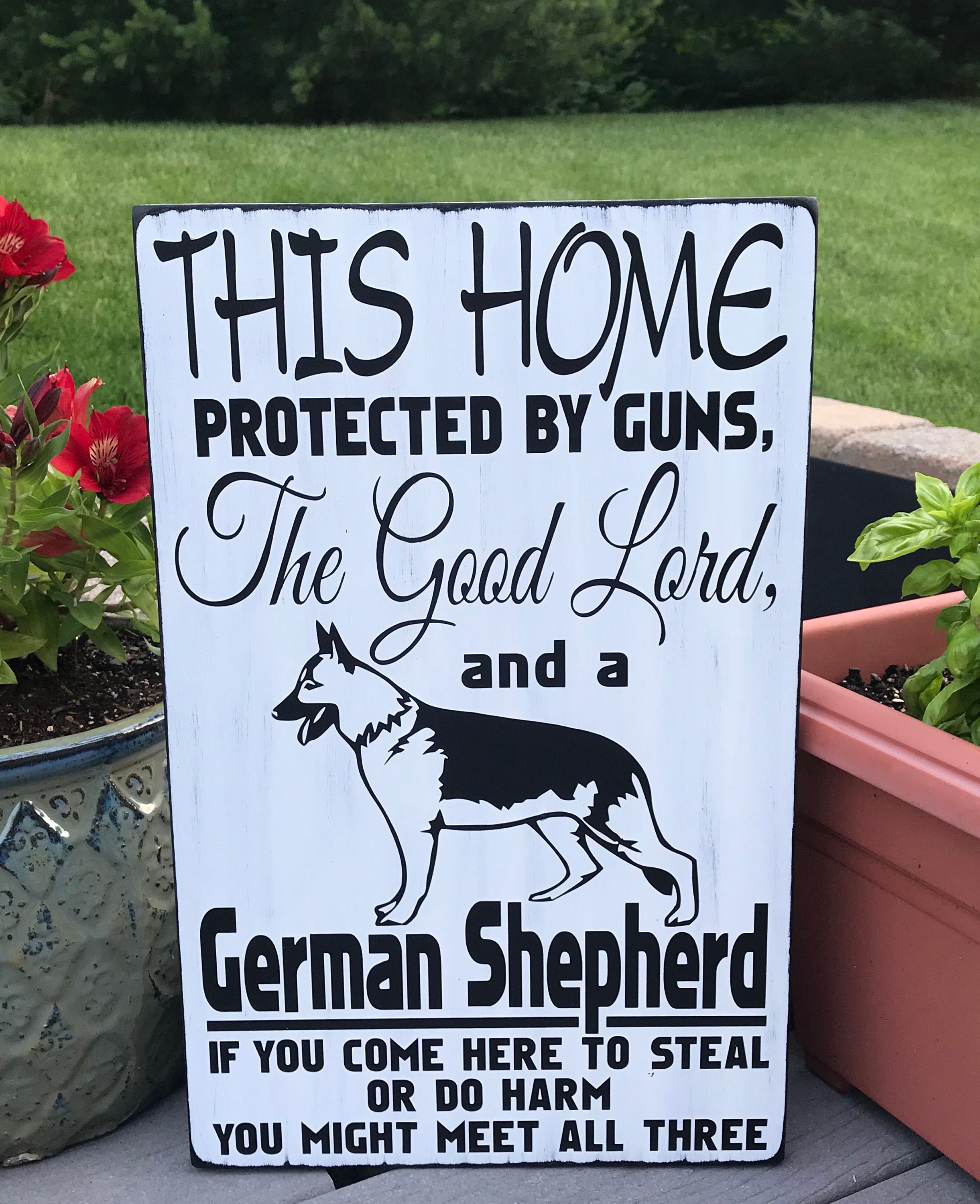 Funny Dog Pics With Guns