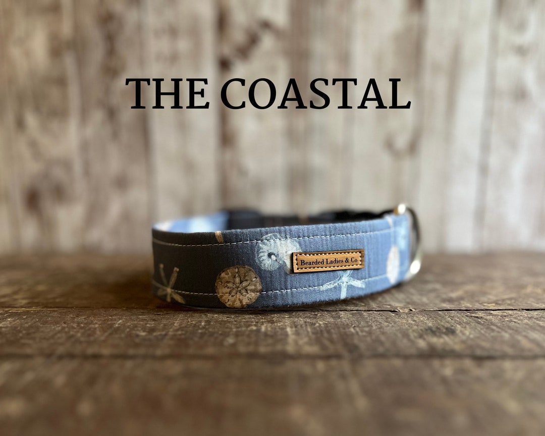 Coastal Blue, Seashell, Sandollar and Coral Unisex Dog Collar // the ...