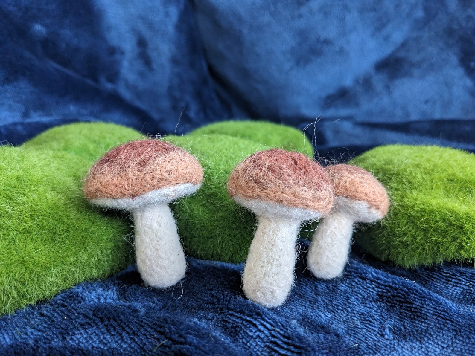 Needle Felted Wool Porcini Penny Bun Boletus Edulis Mushrooms Fungi ...