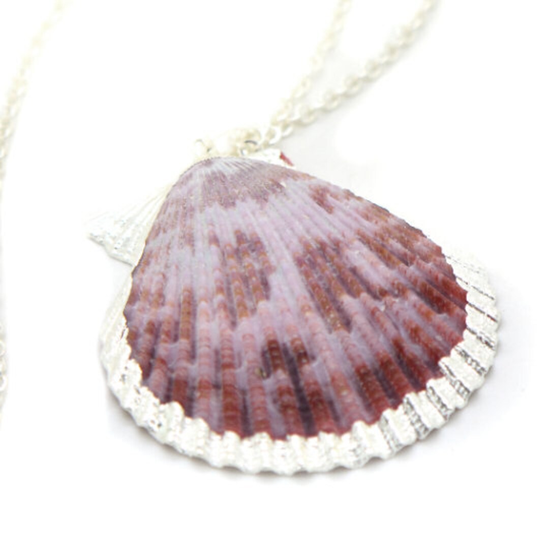 1 - REAL Clam Shell Necklace Scallop Shell With Silver Plated Trim ...