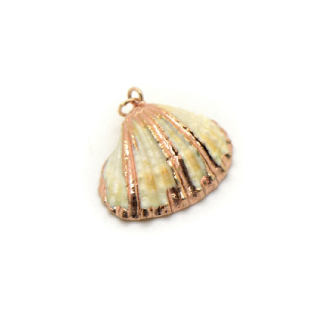 1 REAL Clam Shell With Copper Metal Plated Trim Pendant Sea - Etsy