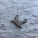 Canadian Goose Silhouette Charm Brushed Silver Plated Stainless Steel ...