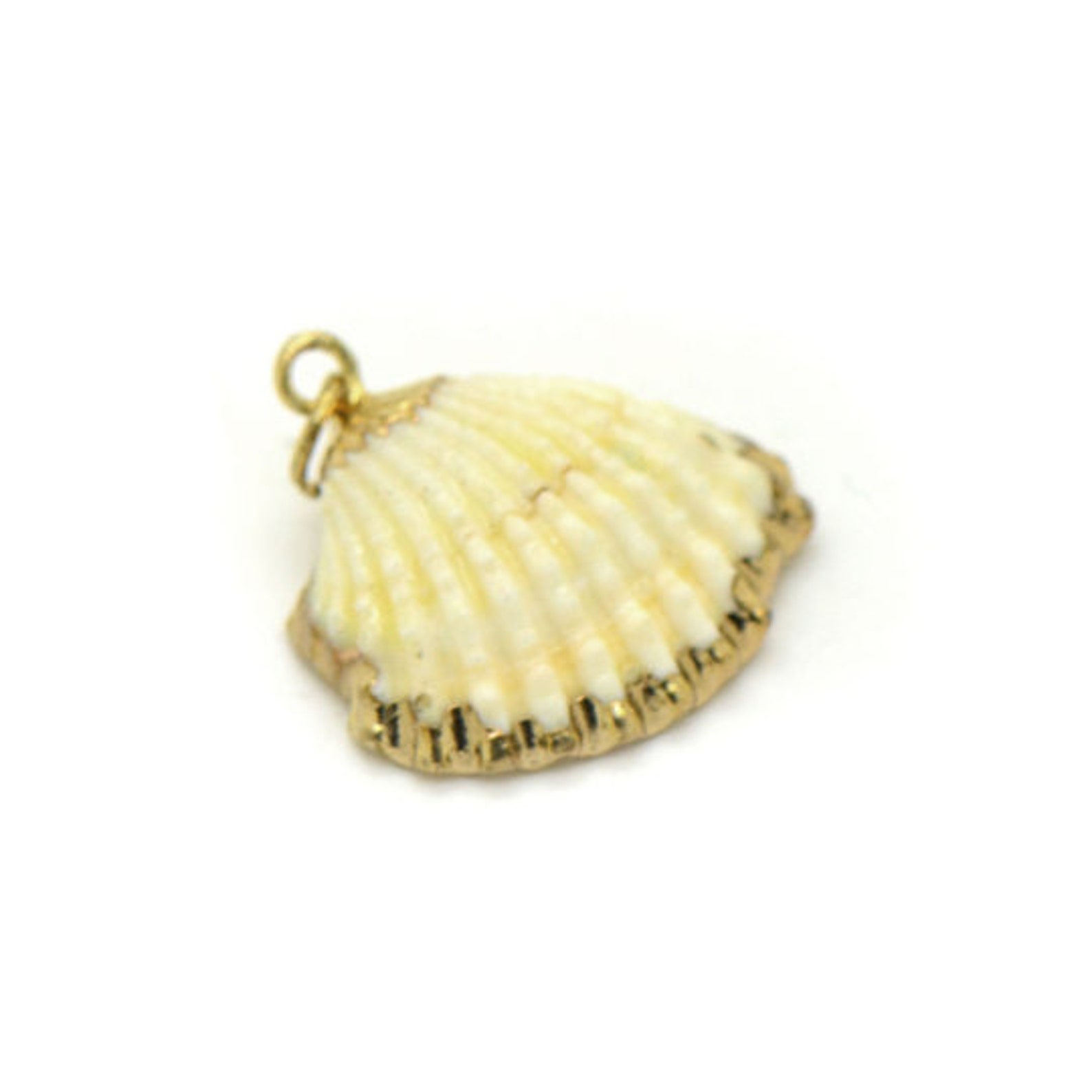1 REAL Clam Shell With 24K Gold Plated Trim Pendant Sea - Etsy