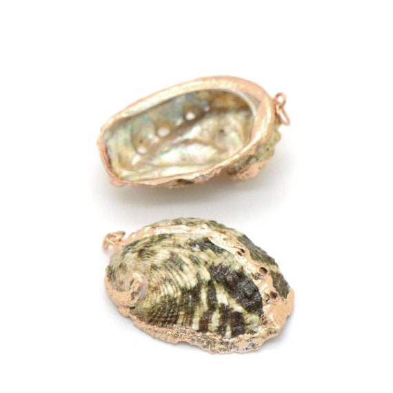 1 REAL Large Round Shell With Copper Metal Plated Trim | Etsy