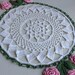 Planted Roses Doily Crochet Patern Instant Download - Etsy