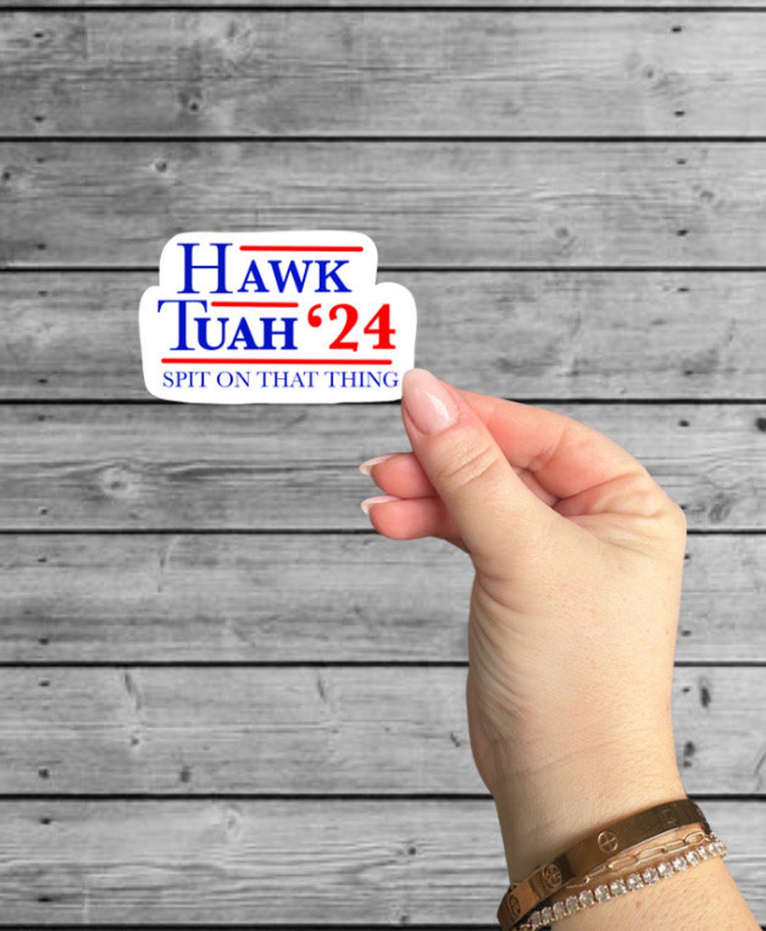 Hawk Tuah '24 Sticker: Adult Humor Laptop Decal - Etsy