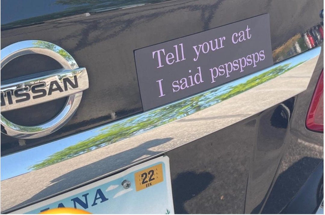 Tell Your Cat I Said Pspspsps Car Magnet, Cat Bumper Sticker, I Love ...