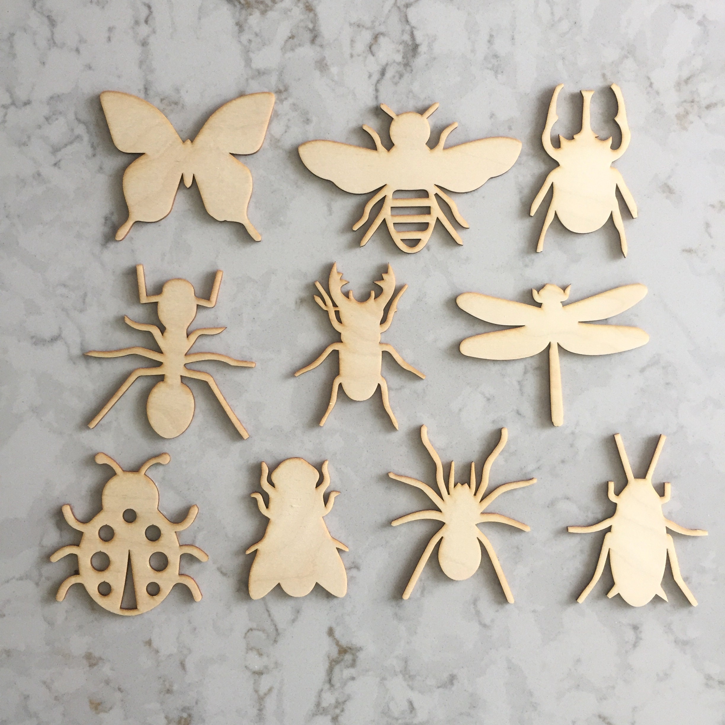 Paintable Set // Bird Set // Sweets Set // Bug Set // Birthday | Etsy