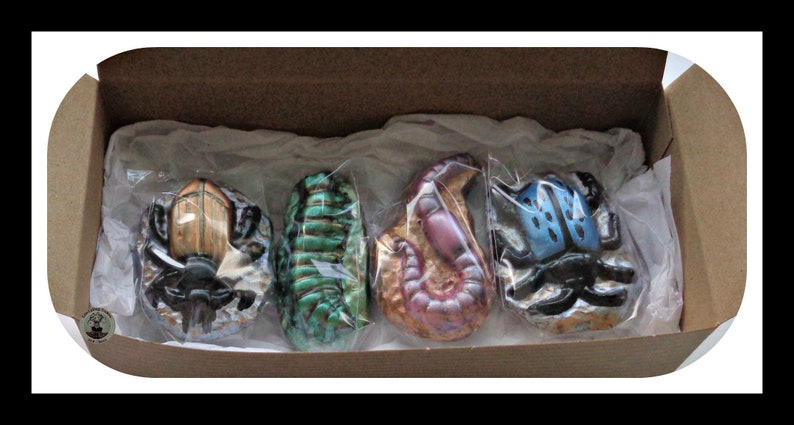 Chocolate Bugs/edible Insects/cake Topper - Etsy