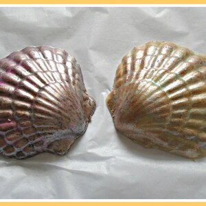 Chocolate Shells/beach Wedding/shell Chocolate Gift/ocean Gift/wedding ...