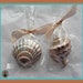 Chocolate Shells/beach Wedding/shell Chocolate Gift/ocean Gift/wedding ...