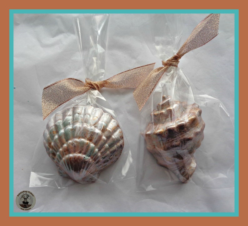 Chocolate Shells/beach Wedding/shell Chocolate Gift/ocean - Etsy UK