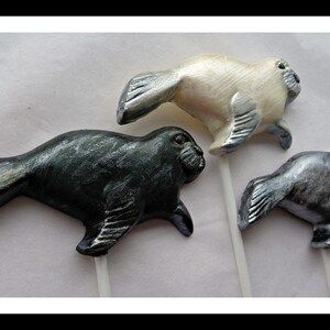 Seal Gift/chocolate Seal/sea Lion/fur Seal/sea Creature/baby Seal ...