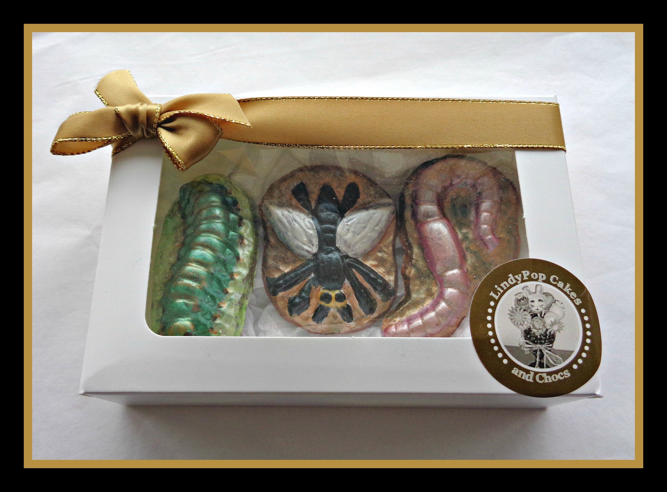 Chocolate Bugs/edible Insects/cake Topper - Etsy UK