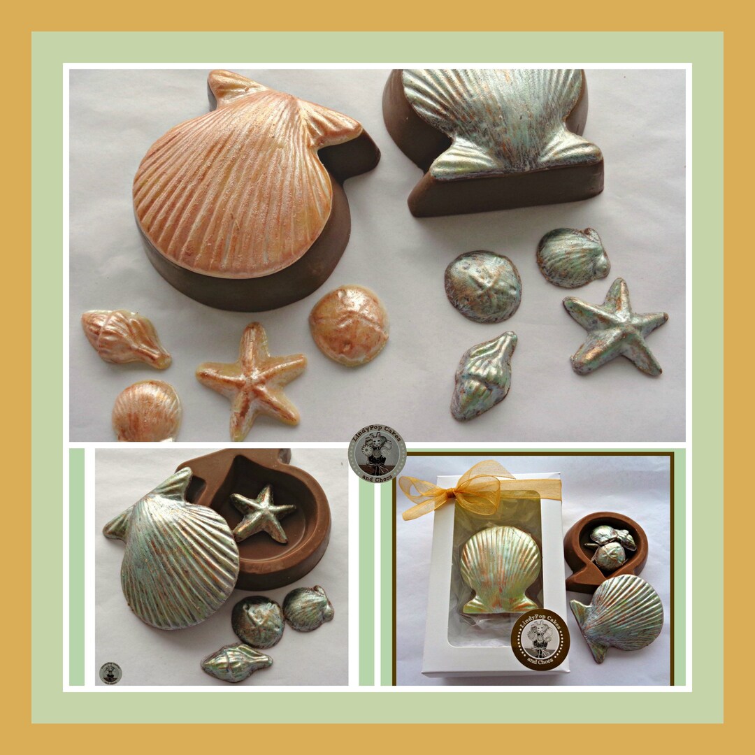 Chocolate Shell/chocolate Gift/edible Shell Box/unusual Gift for Her ...