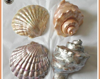 Chocolate Star Fish, Assorted Sizes, Half Pound Bulk Boxes Approx 23 ...