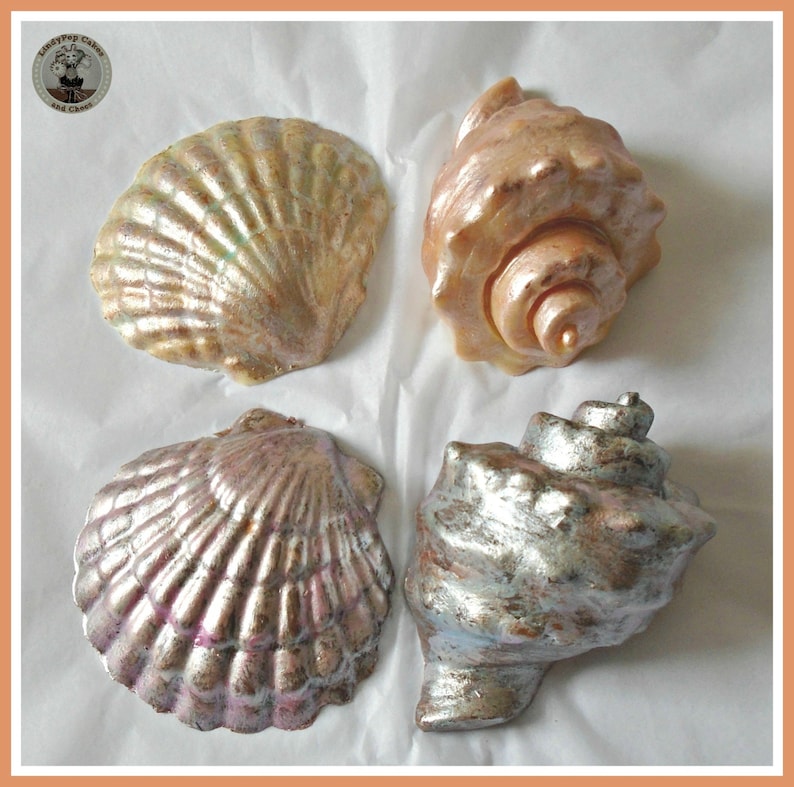 Chocolate Shells/beach Wedding/shell Chocolate Gift/ocean - Etsy UK