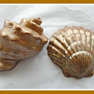 Chocolate Shells/beach Wedding/shell Chocolate Gift/ocean Gift/wedding ...