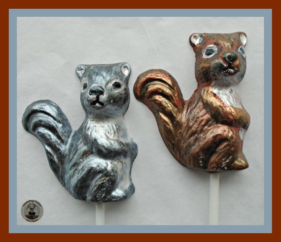 Squirrel Gift/Chocolate Gift/Edible | Etsy
