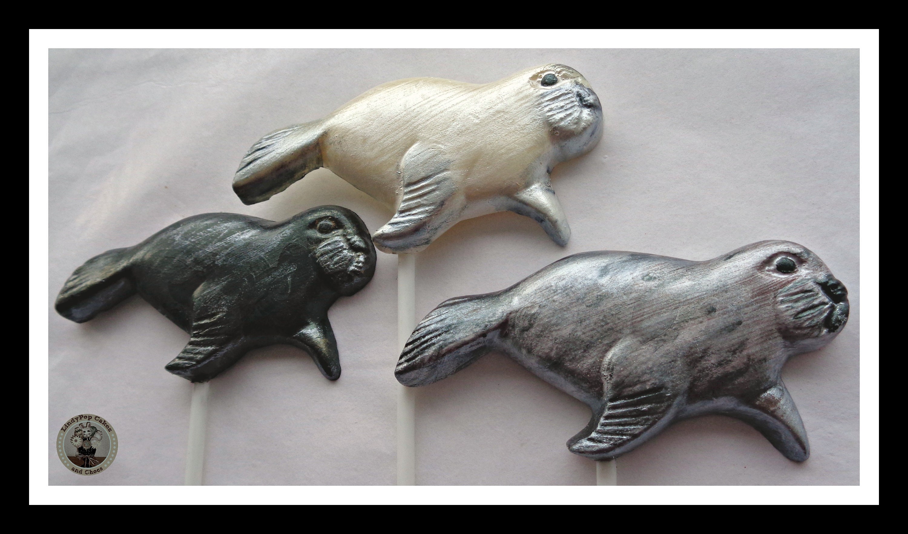Seal Gift/chocolate Seal/sea Lion/fur Seal/sea Creature/baby - Etsy