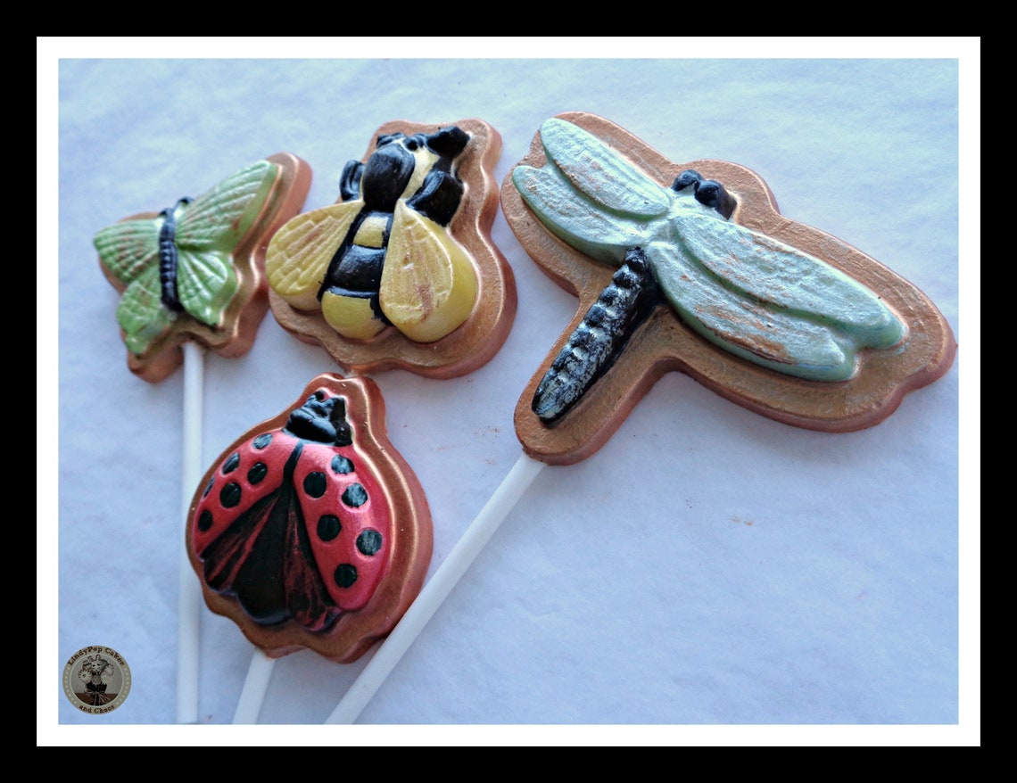 Insects Chocolate Gift/edible Bug Lollipops/kids Bug - Etsy