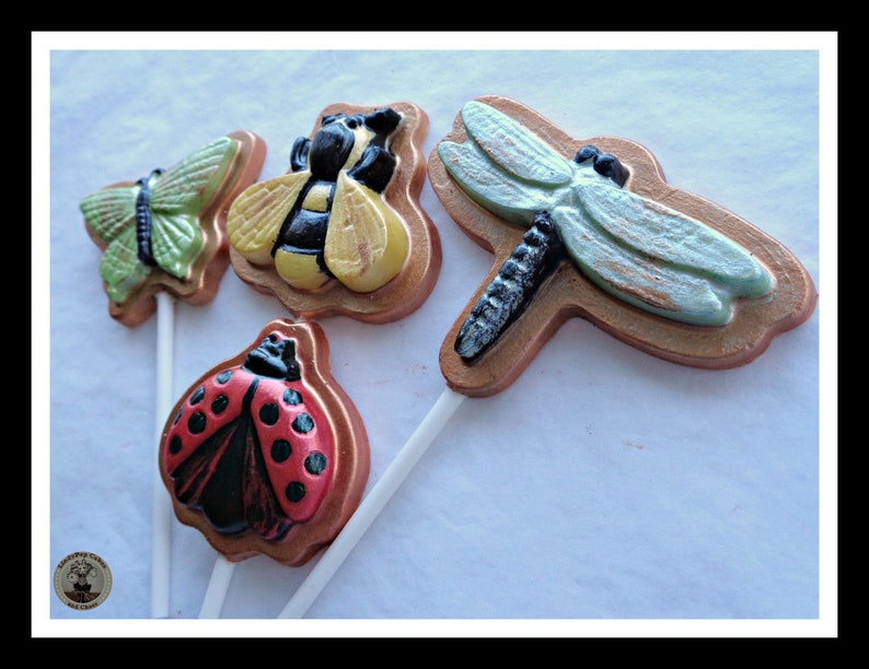 Chocolate Bug Lollipops: Hand-painted Belgian Chocolate Insects - Kids ...