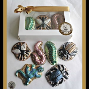 Chocolate Bugs/edible Insects/cake Topper - Etsy UK