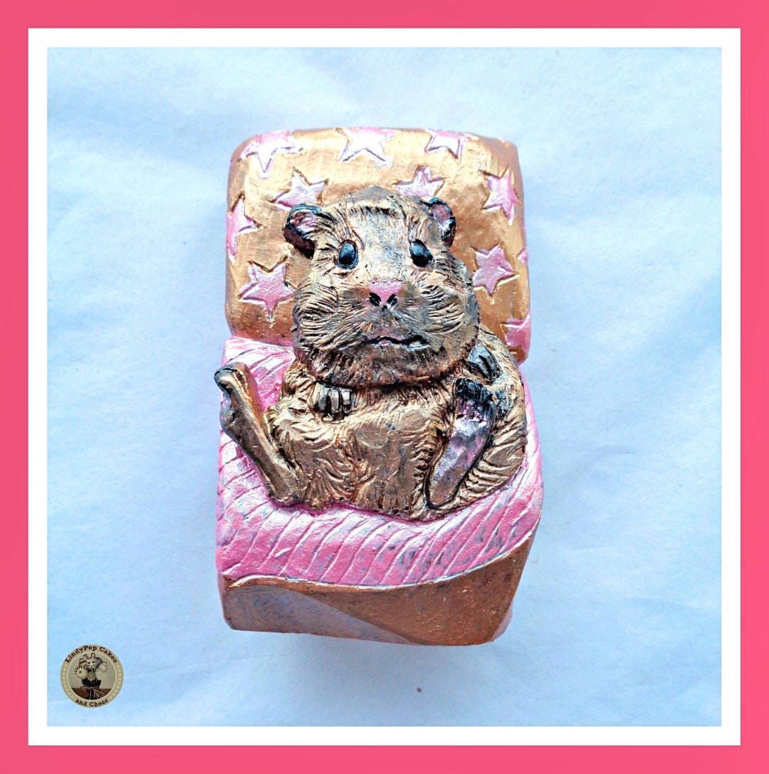 Chocolate Guinea Pig Gift: Hand-painted Belgian Chocolate ...