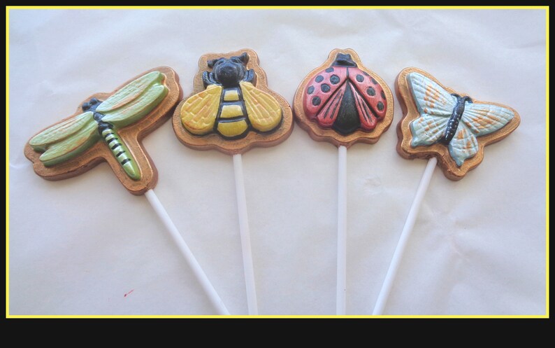 Chocolate Bug Lollipops: Hand-painted Belgian Chocolate Insects - Kids ...