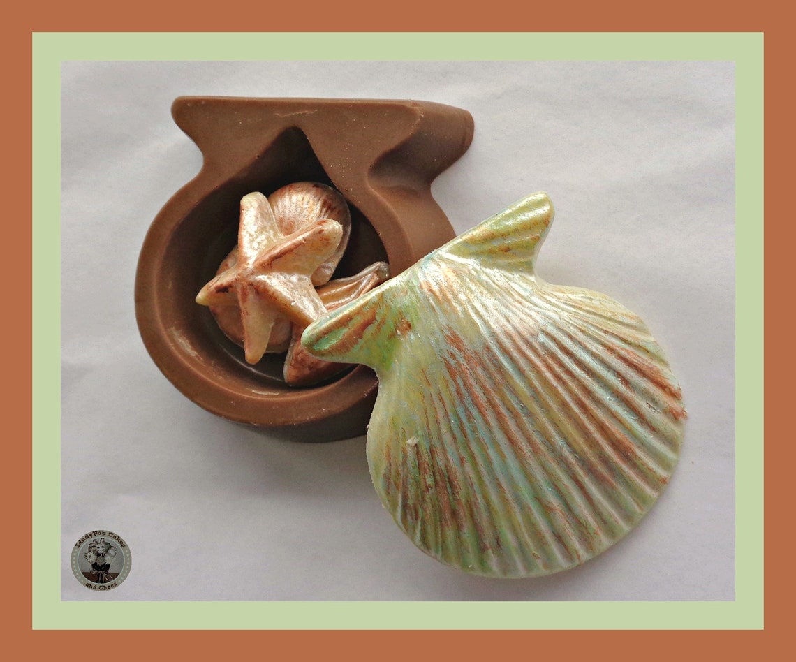 Chocolate Shell/chocolate Gift/edible Shell Box/unusual Gift - Etsy