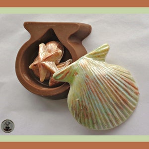 Chocolate Shell/chocolate Gift/edible Shell Box/unusual Gift for Her ...