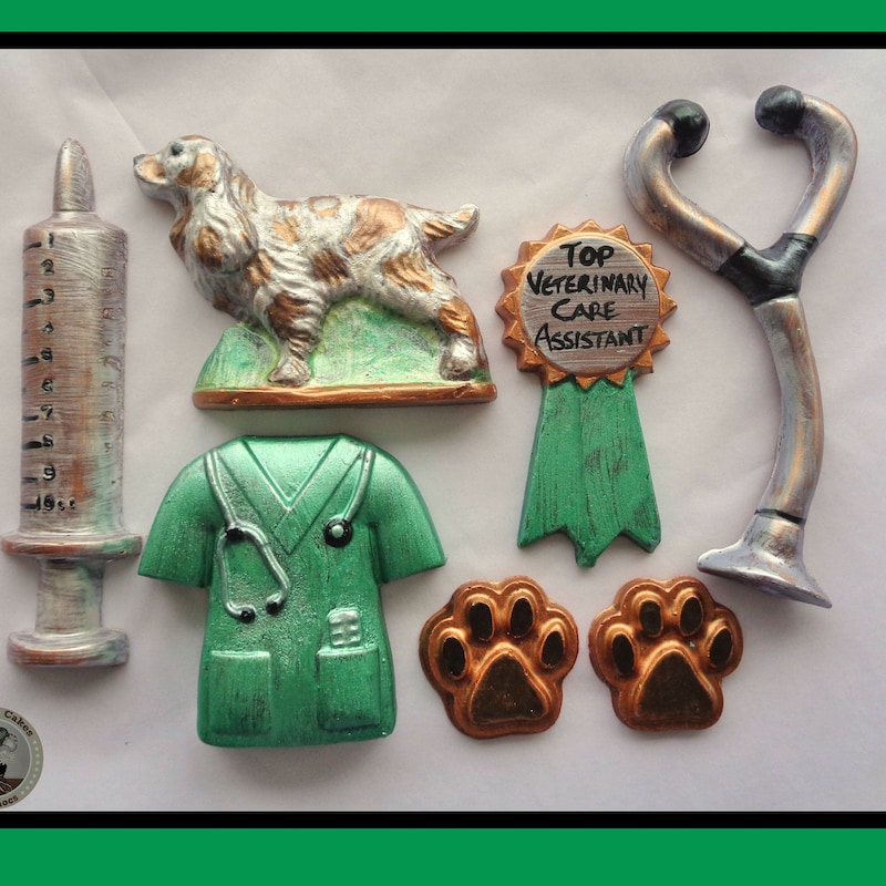 Vet Cake Topper - Etsy