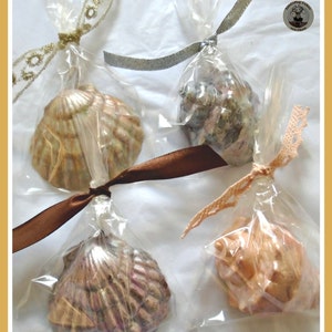 Chocolate Shells/beach Wedding/shell Chocolate Gift/ocean Gift/wedding ...