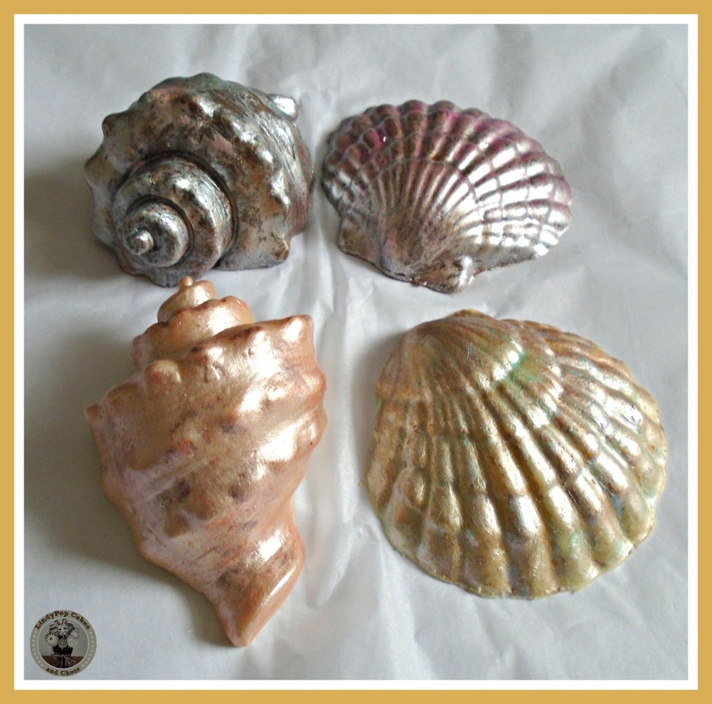 Chocolate Shells/beach Wedding/shell Chocolate Gift/ocean | Etsy