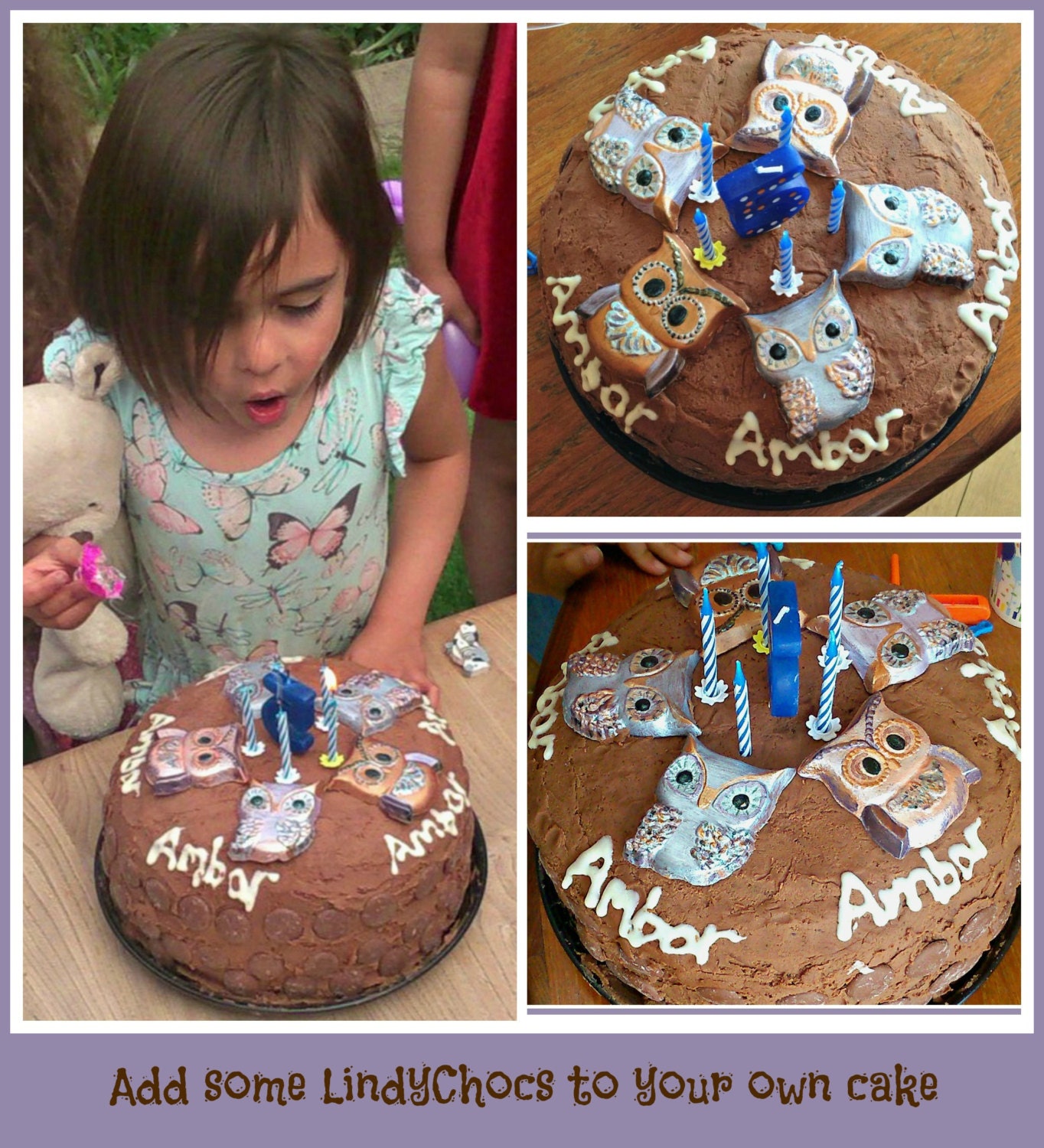 Owl Gift/chocolate Owl Lollipops/edible Owls/owl - Etsy