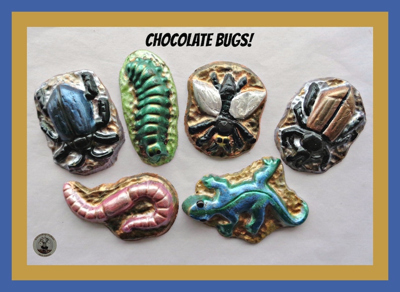 Chocolate Bugs/edible Insects/cake Topper - Etsy