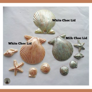 Chocolate Shell/chocolate Gift/edible Shell Box/unusual Gift for Her ...