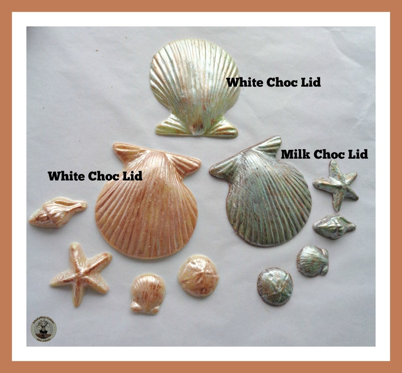 Chocolate Shell/chocolate Gift/edible Shell Box/unusual Gift - Etsy