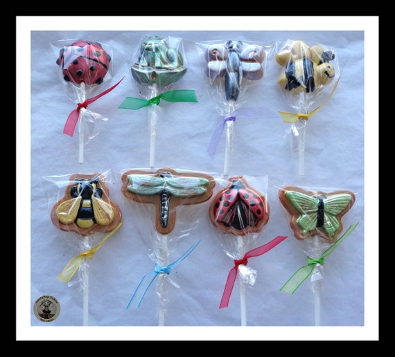 Edible Insects Crafts