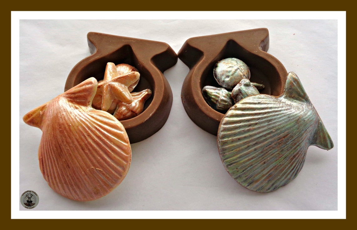 Chocolate Shell/chocolate Gift/edible Shell Box/unusual Gift - Etsy