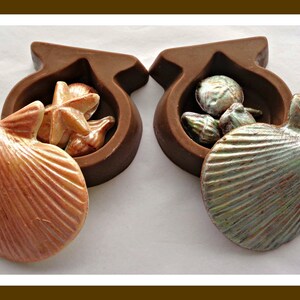 Chocolate Shell/chocolate Gift/edible Shell Box/unusual Gift for Her ...