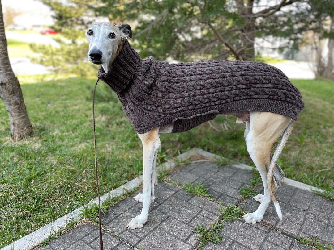 Greyhound Sweater, Greyhound Coat, Galgo Sweater, Sighthound Coat, Dog ...