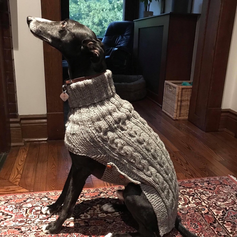 Whippet Dog Coat Pattern - Etsy