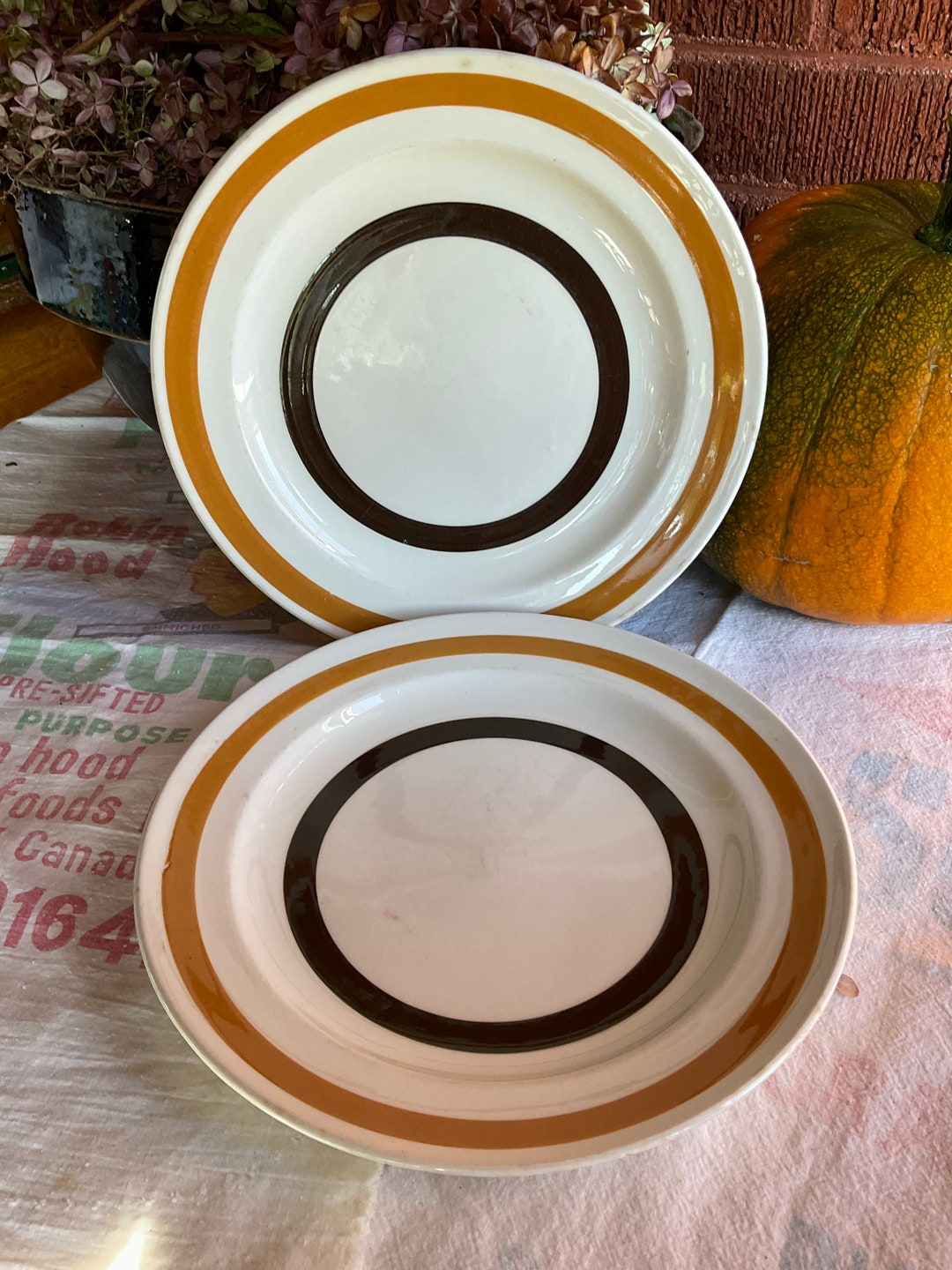 Vintage Colleen Carrigaline Irish Dinner Plate Brown Stripes ...